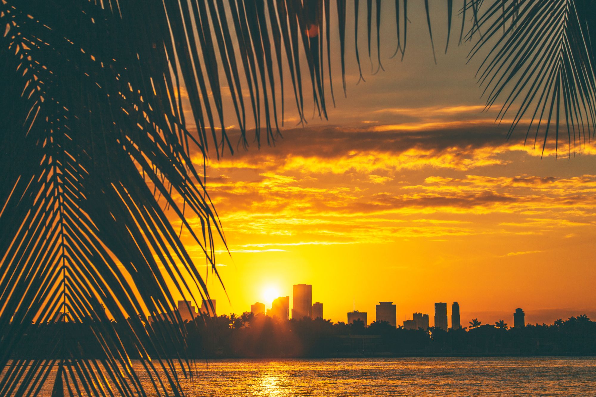 Here’s What’s in Store for the World’s Luxury Real Estate Hubs - The ...